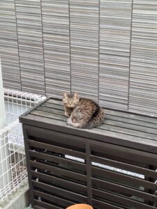 BCP SDGs｜有限会社オガワ電機製作所